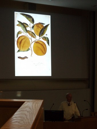 Tradescants, Canterbury and garden history | Centre for Kent History ...