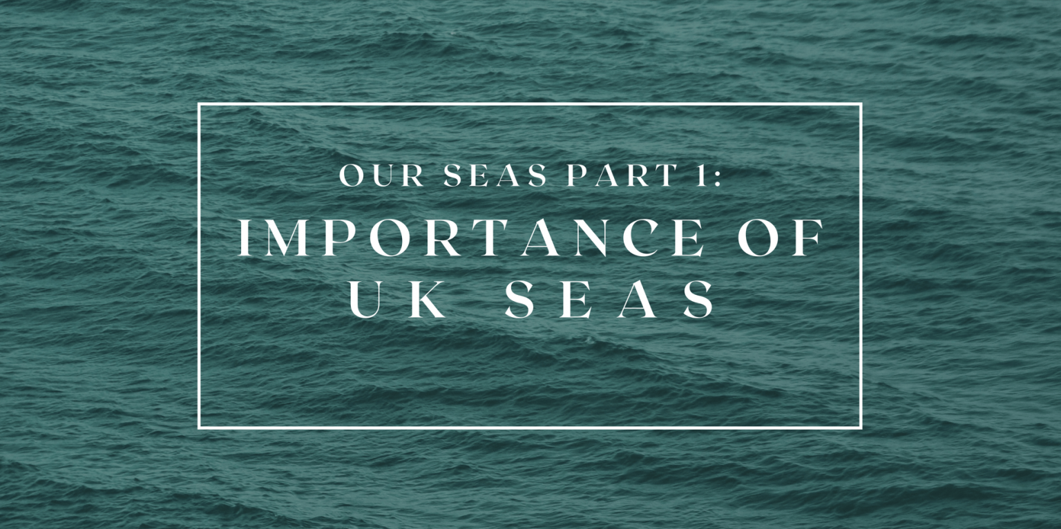 Our Seas Part 1: The Importance of Our Seas | Sustainability